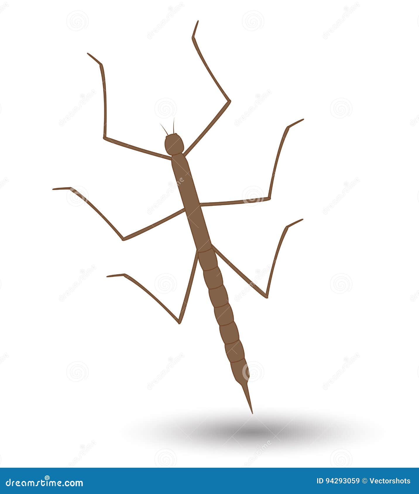 Stick Insect Vector stock vector. Illustration of crawly - 94293059