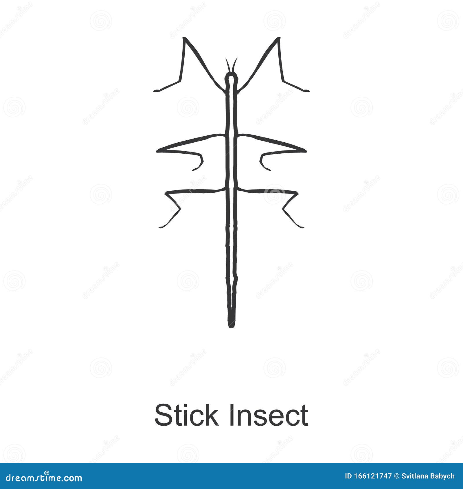 Stick Insect Vector Icon.Line Vector Icon Isolated on White Background ...