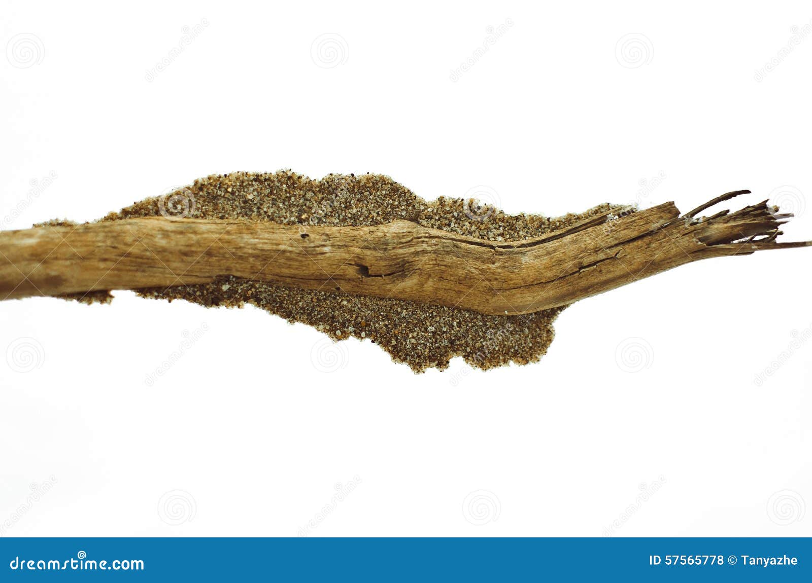Stick and sand stock photo. Image of stick, abstract - 57565778