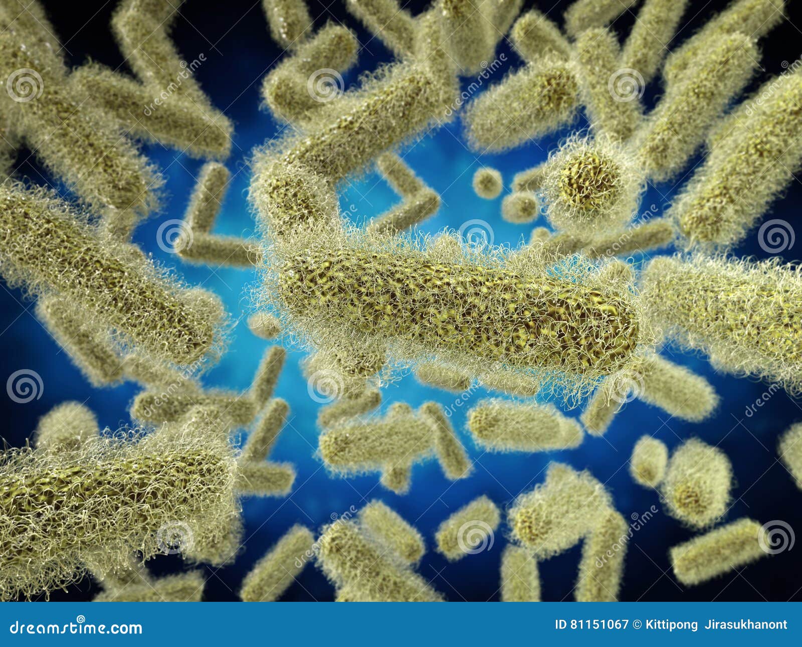 Stick shape bacteria cells stock illustration. Illustration of closeup ...