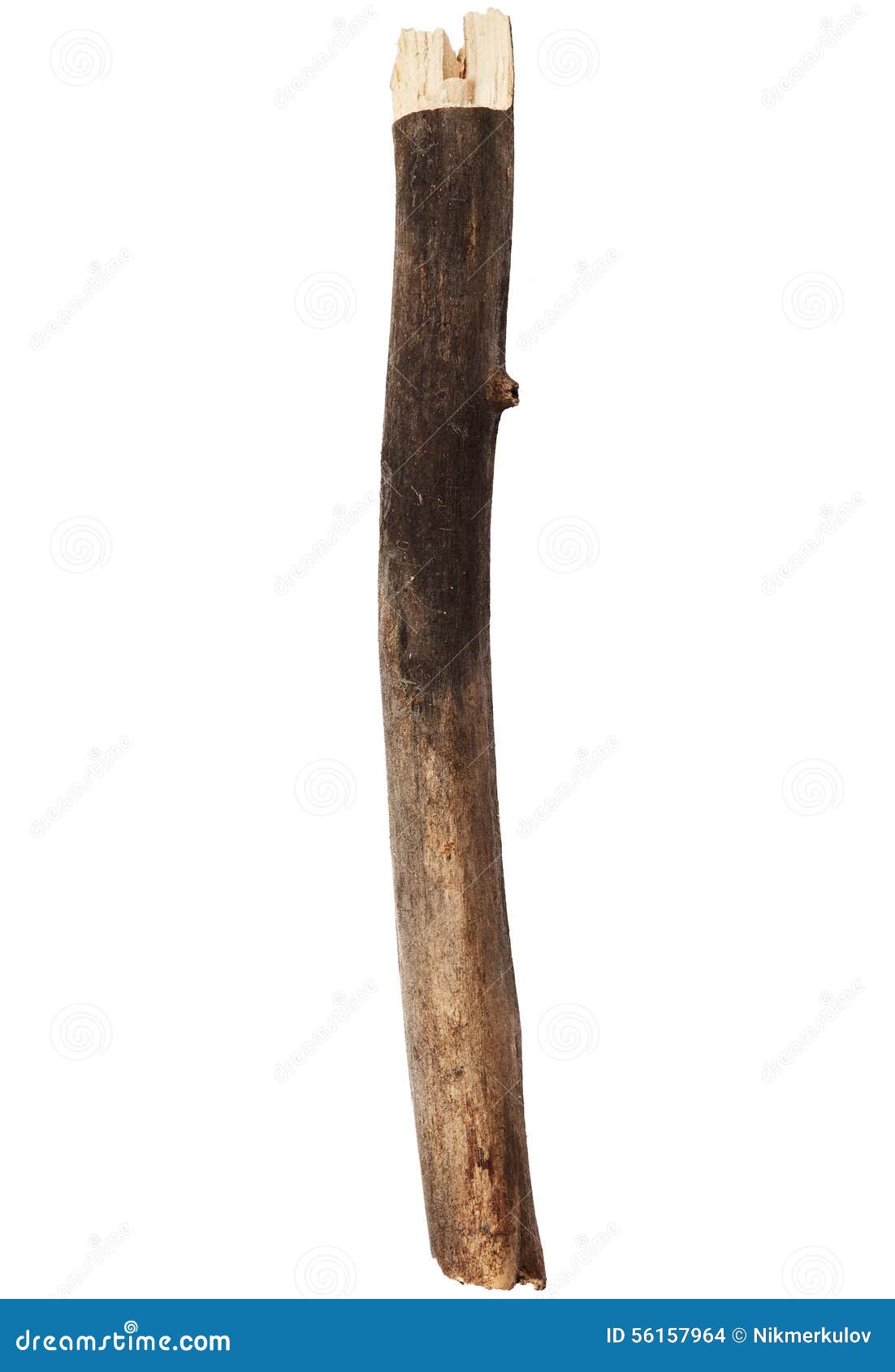 Stick stock photo. Image of bough, abstract, close, piece - 56157964