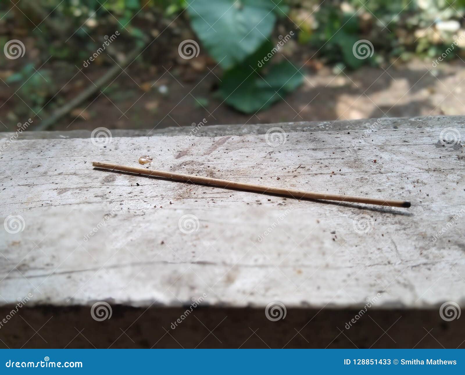 Stick stock image. Image of small, piece, stick, wood - 128851433