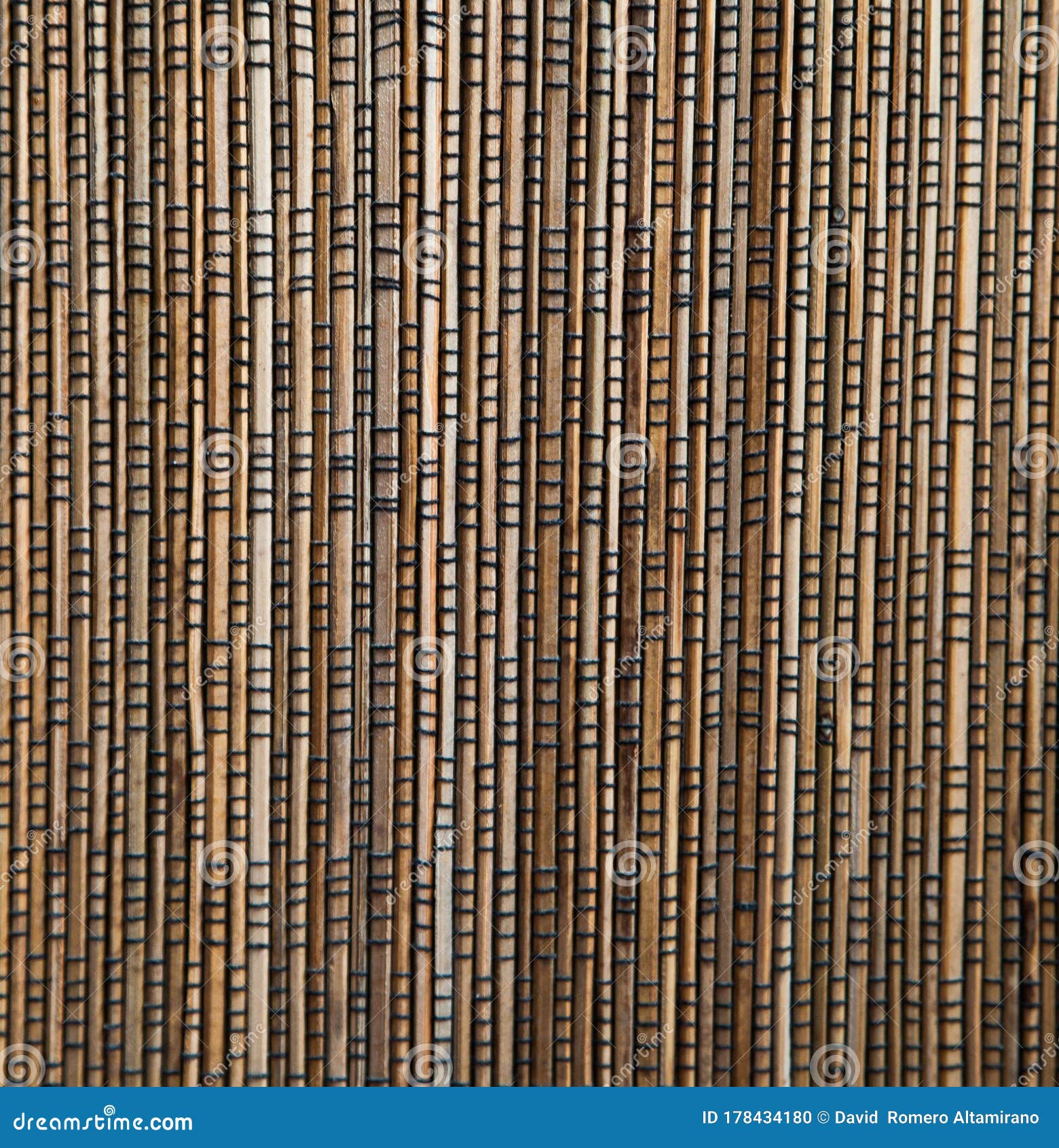 Thin Sticks Multicolor Texture Background. Stock Photo - Image of ...