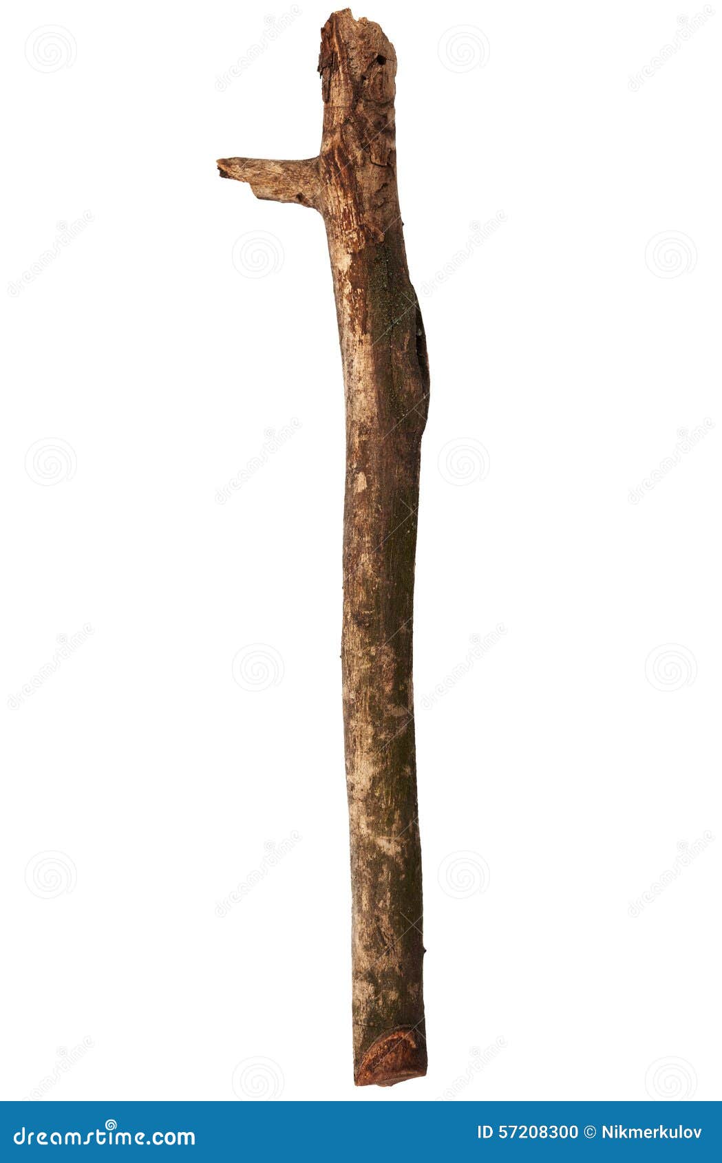 Stick stock photo. Image of branch, bough, natural, close - 57208300