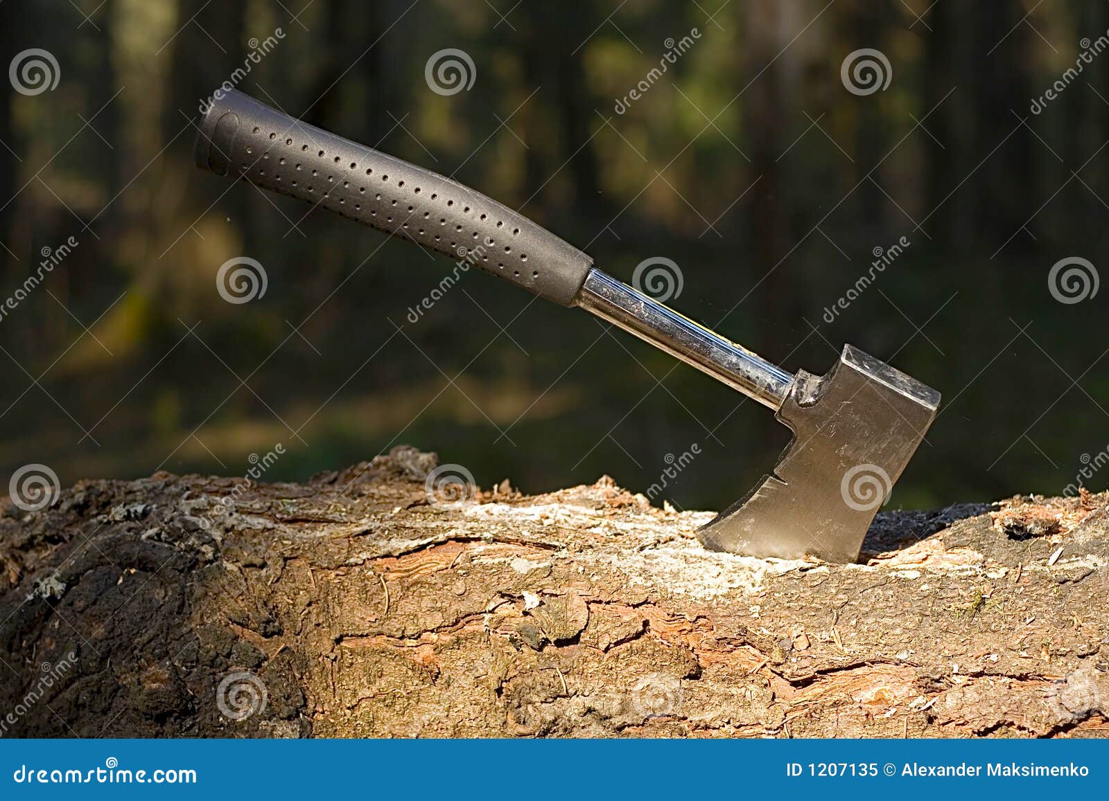 Sticked Wood Axe Picture. Image: 1207135