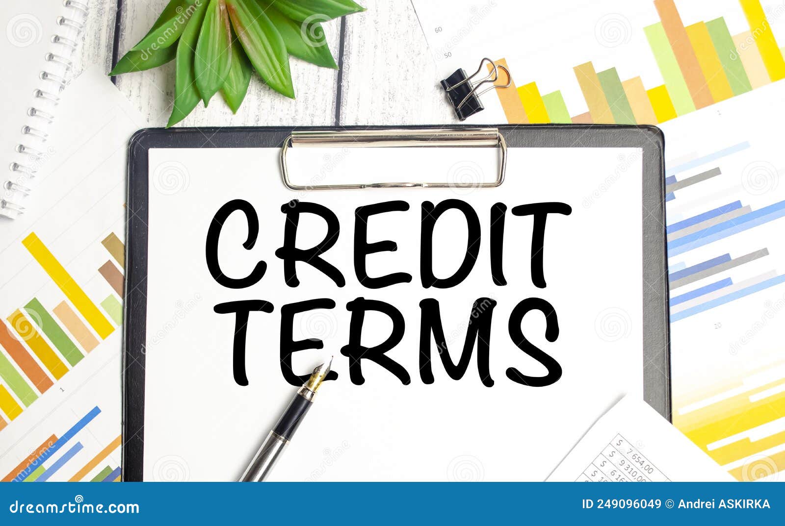 Stickers, Plant, Pen and a White Notebook with the Text Credit Terms ...