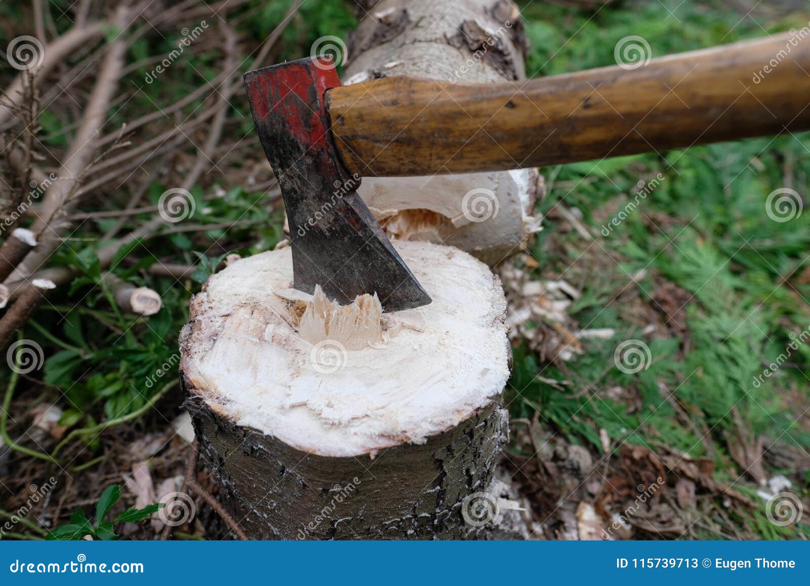 Sticking Ax in a Tree Stump Stock Image - Image of casually ...