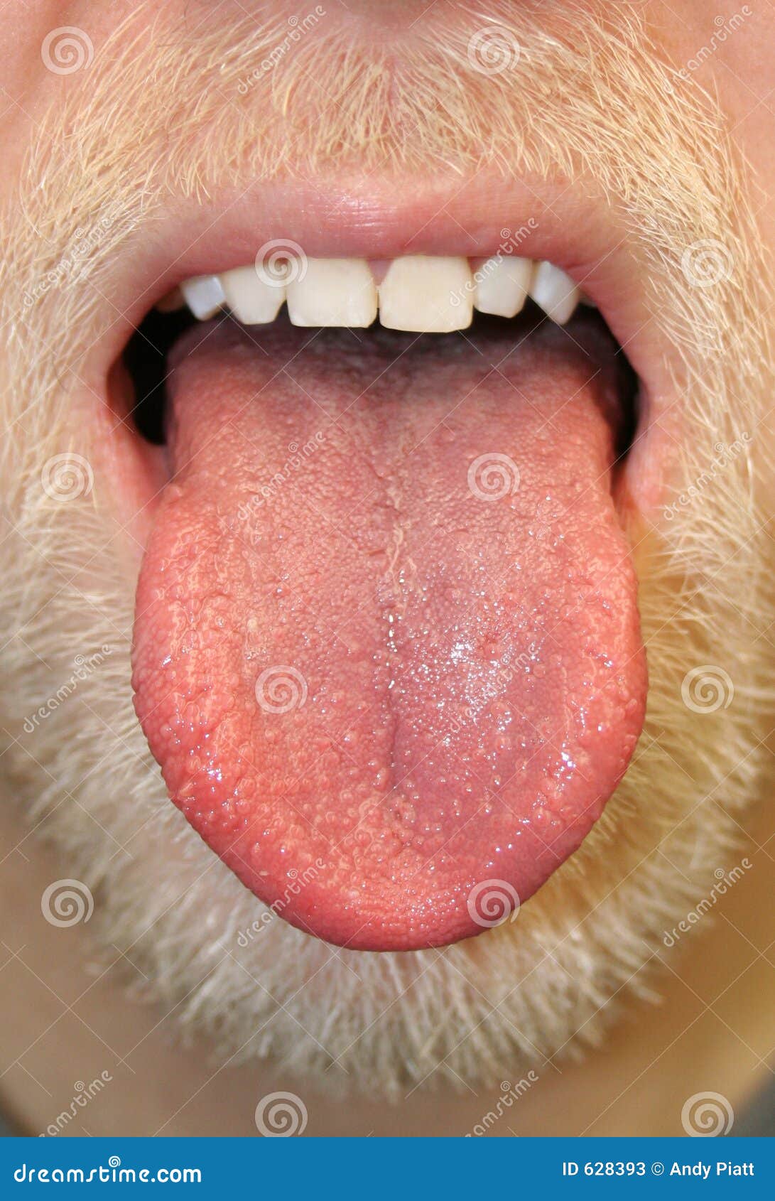 Sticking Out Tongue stock image. Image of face, sticking - 628393