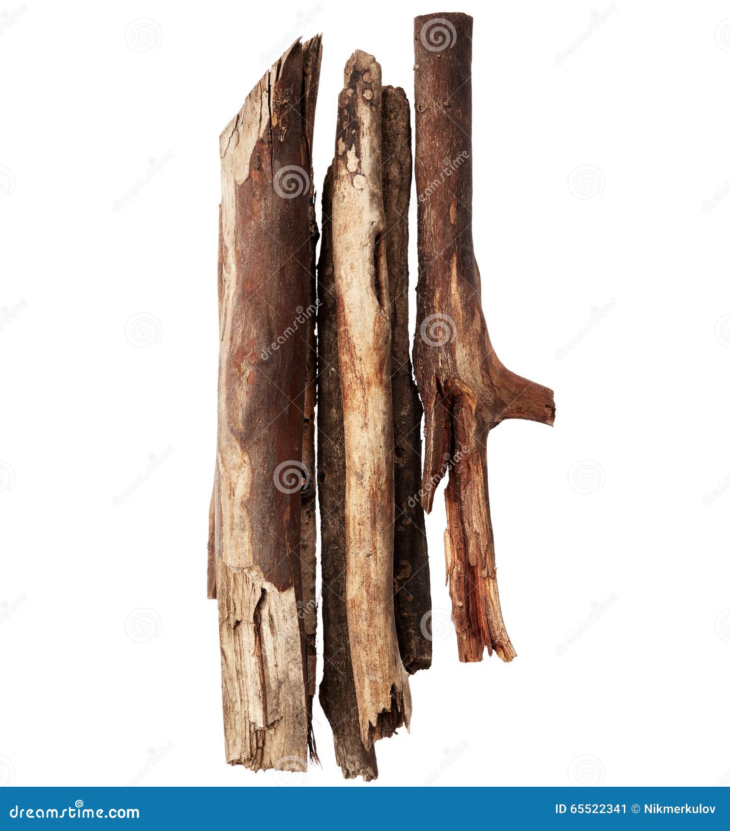 Sticks stock image. Image of rotten, nature, bark, isolated - 65522341