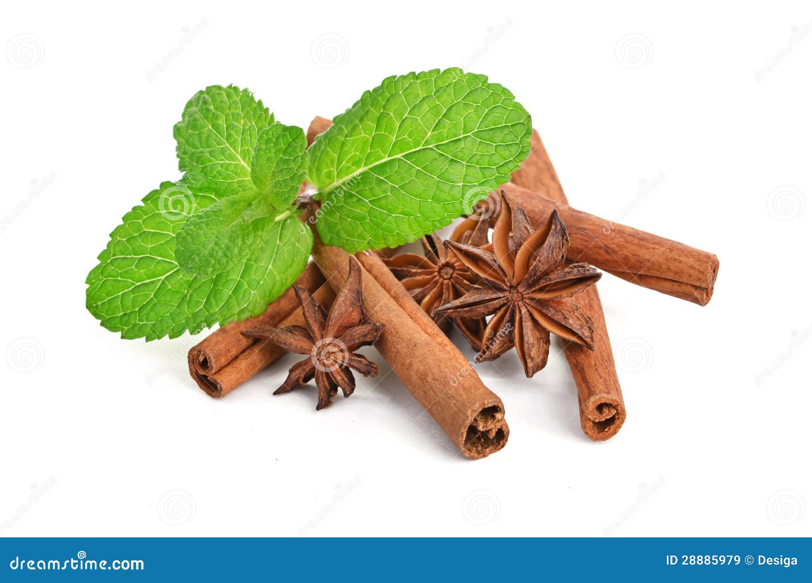 Sticks of Cinnamon with Mint and Anise Stock Image - Image of herbal ...