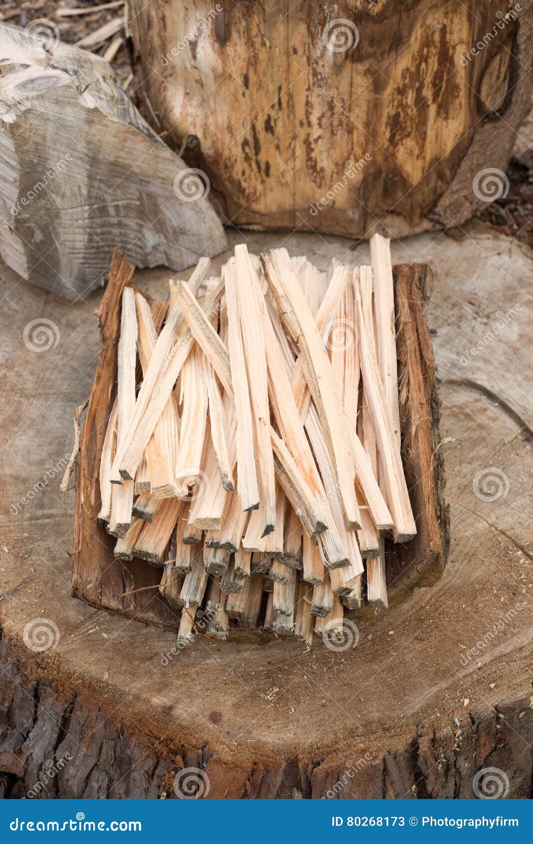 Sticks of Firewood on a Tree Bark Stock Image - Image of energy ...