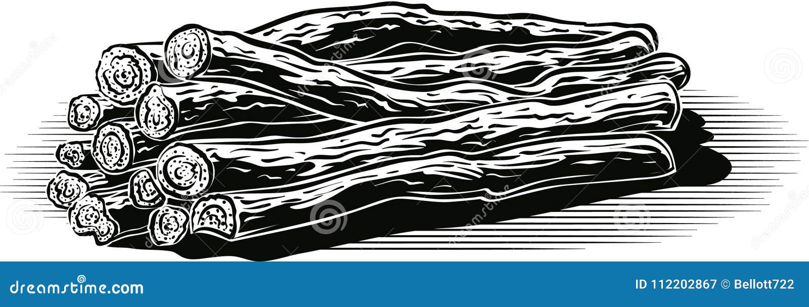 Licorice Root Bunch. Vector Drawing. Botanical Illustration ...