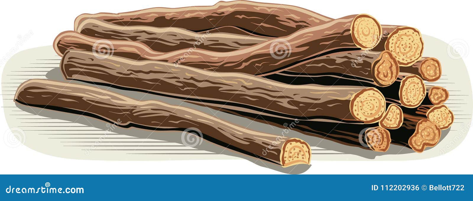 Licorice Root Bunch. Vector Drawing. Botanical Illustration. Herbal ...