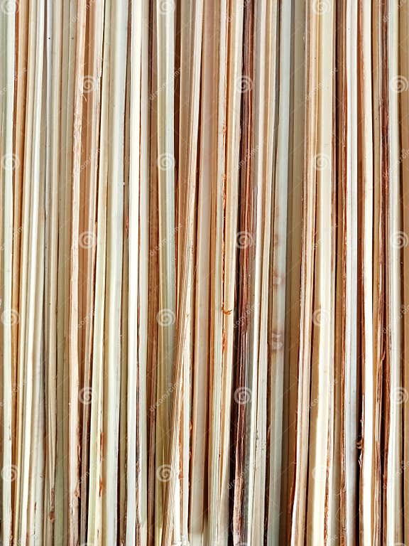 Sticks From The Nipah Tree A Type Of Palm Tree Image As Background