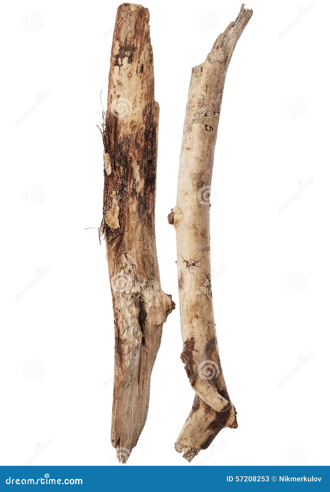 Sticks of tree stock image. Image of macro, grey, element - 57208253