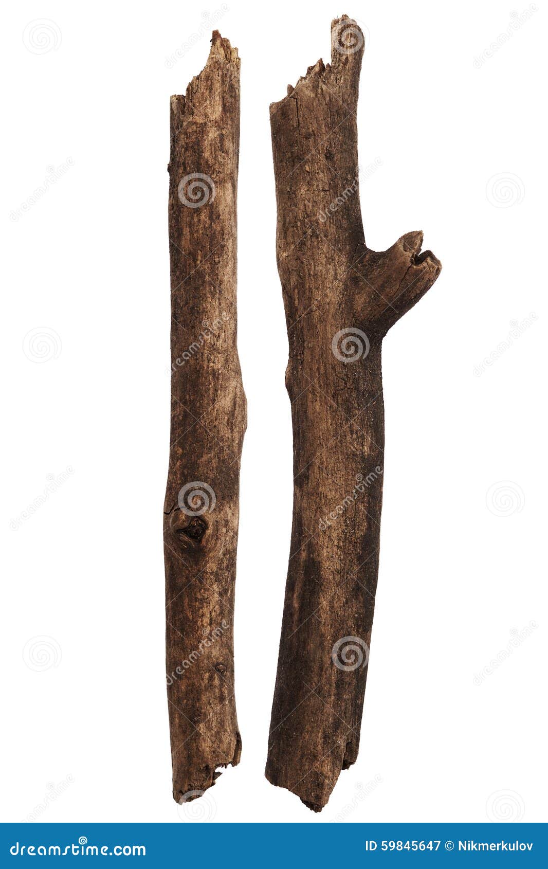 Sticks stock image. Image of outdoor, broken, forest - 59845647