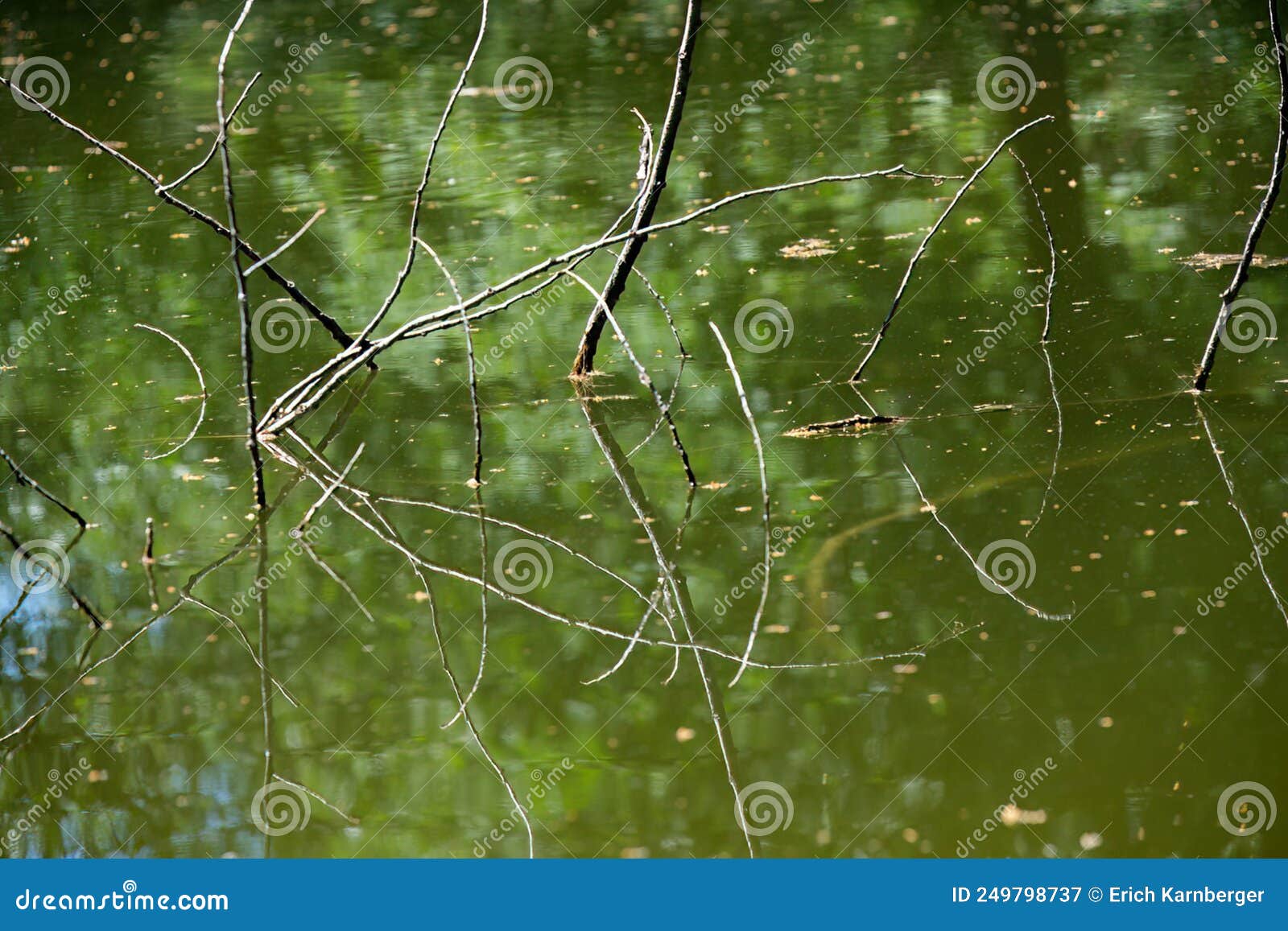 Sticks in Water with Reflection Stock Image - Image of people, ecology ...