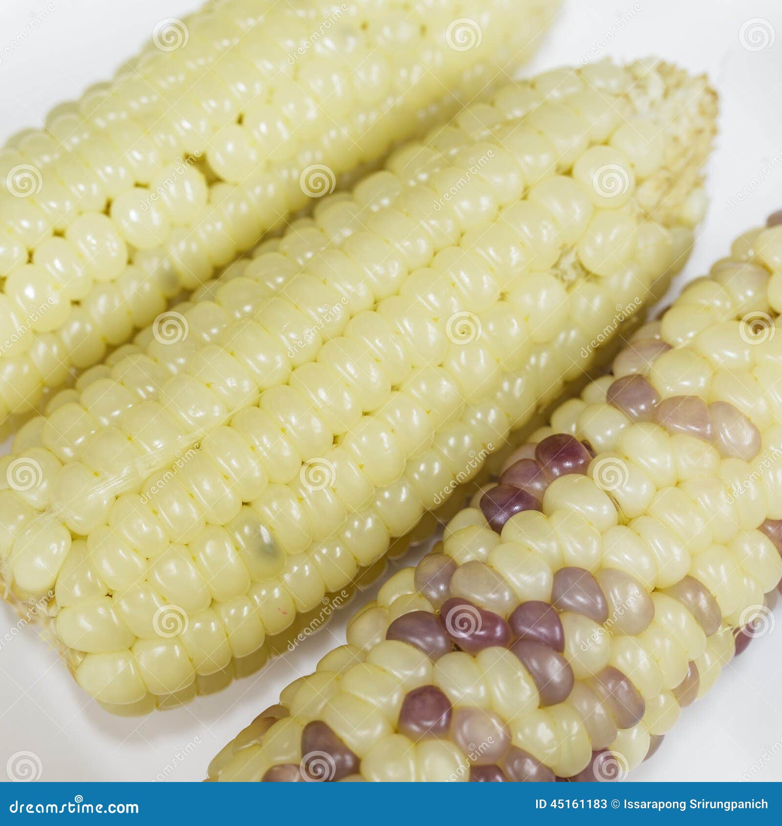 Sticky corn stock image. Image of boiled, closeup, harvest - 45161183
