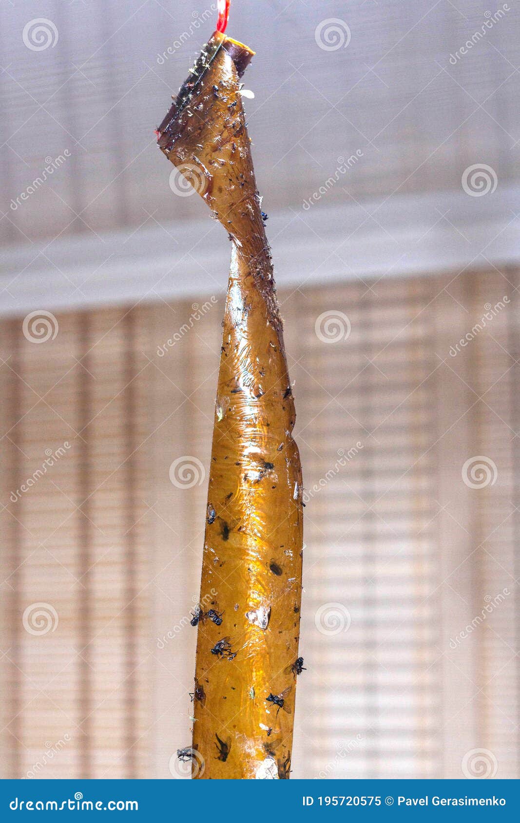 Sticky Flypaper, Trap For Flies Or Fly-killing Device, Yellow ...