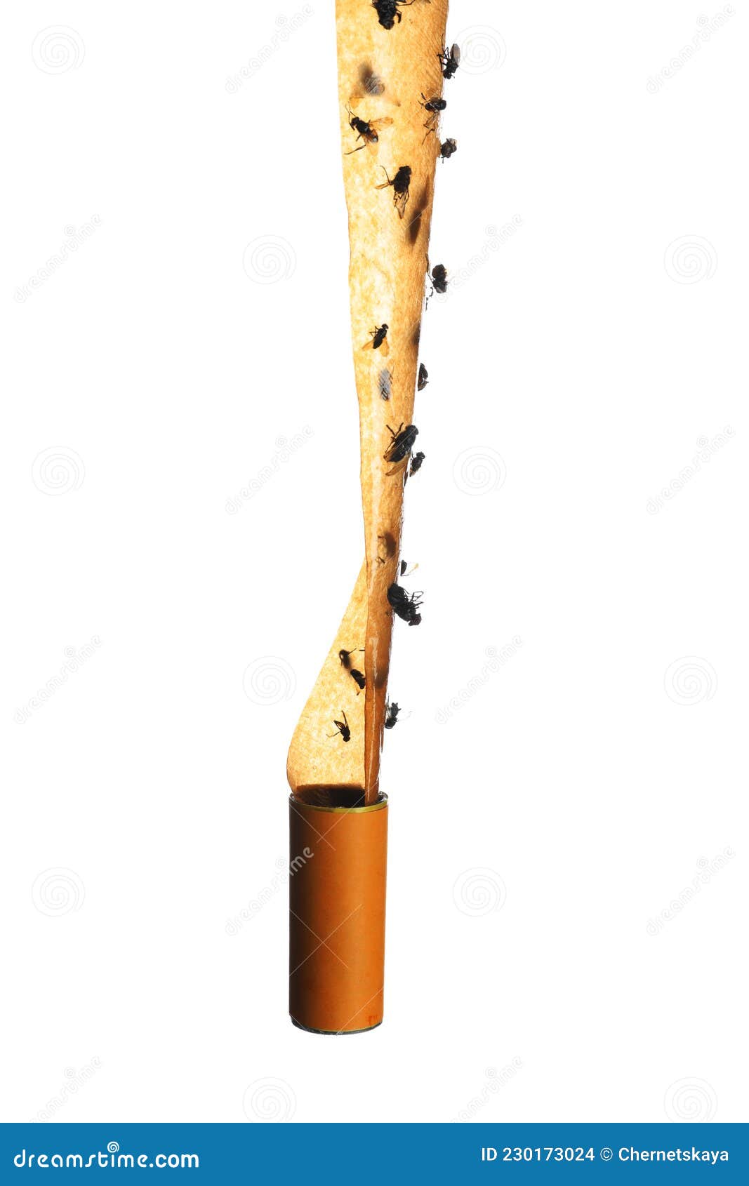 Sticky Insect Tape with Dead Flies Isolated on White Stock Photo ...