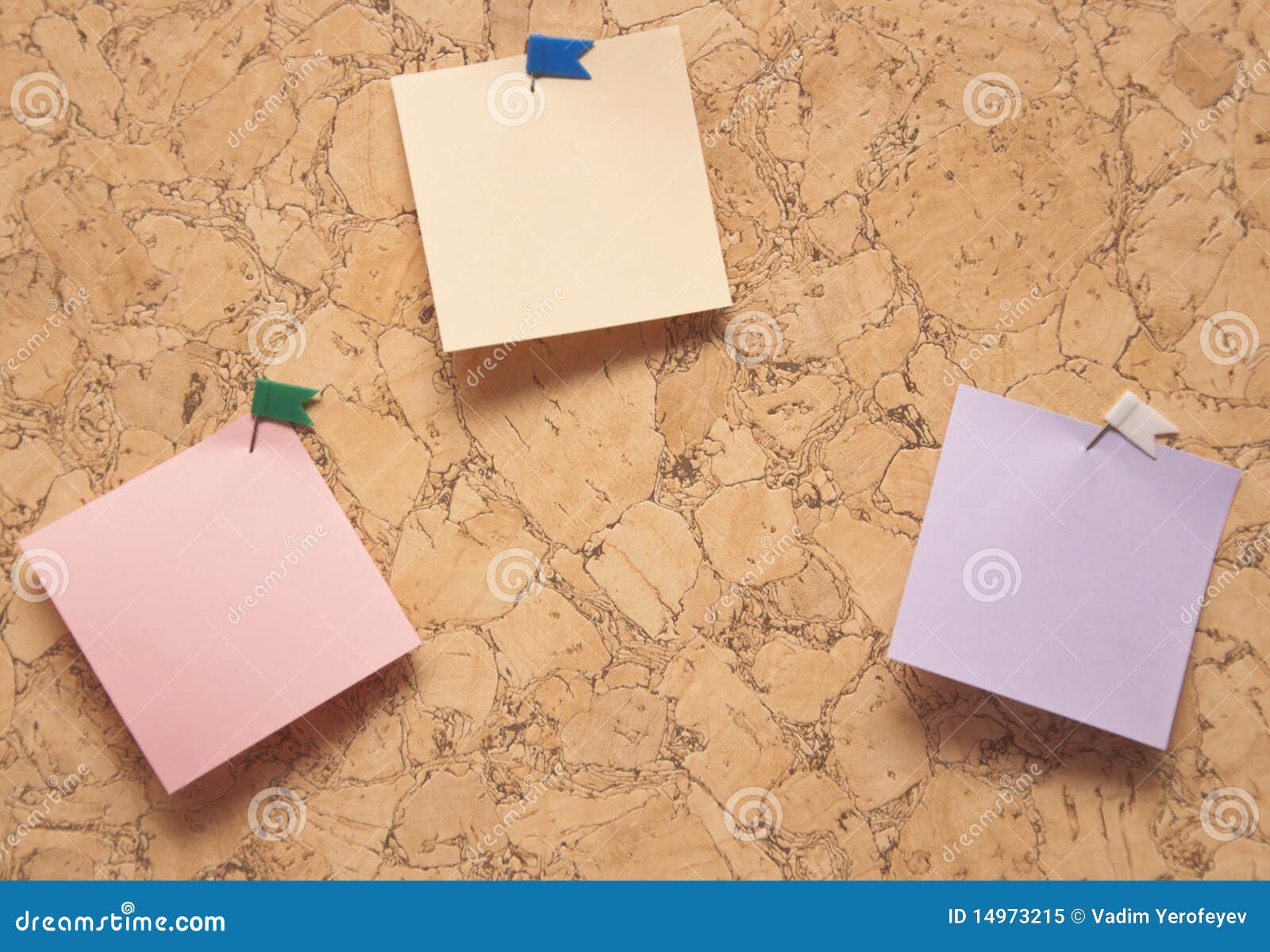 Sticky Leaflets Stock Photos - Free & Royalty-Free Stock Photos from ...