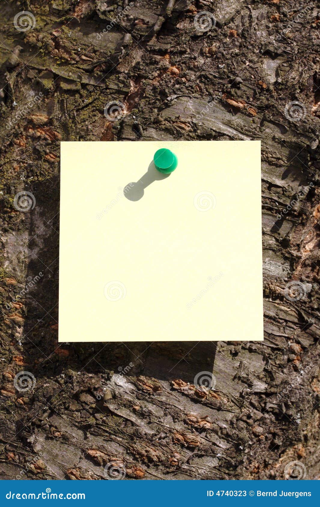 527 Sticky Note Tree Stock Photos - Free & Royalty-Free Stock Photos ...
