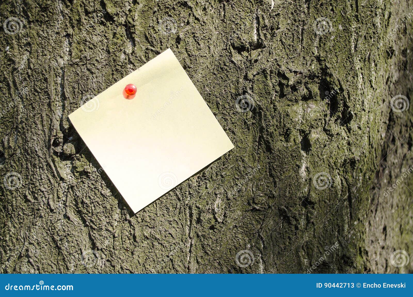 Sticky Note on Tree Background Stock Image - Image of folio, notepaper ...
