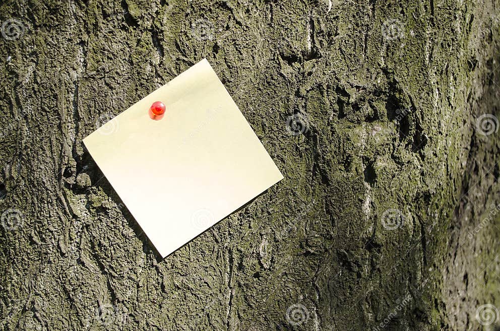 Sticky Note on Tree Background Stock Image - Image of folio, notepaper ...