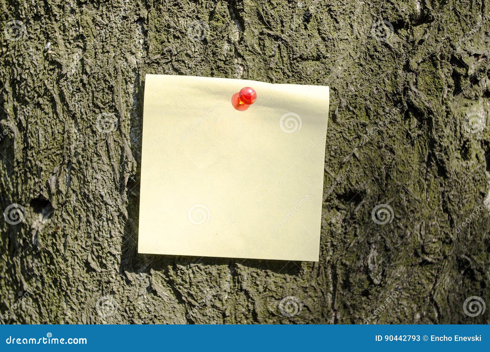 Sticky Note on Tree Background Stock Image - Image of board, design ...