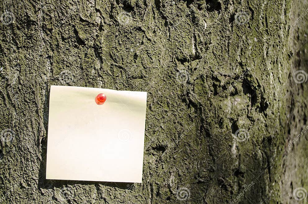 Sticky Note on Tree Background Stock Photo - Image of communication ...