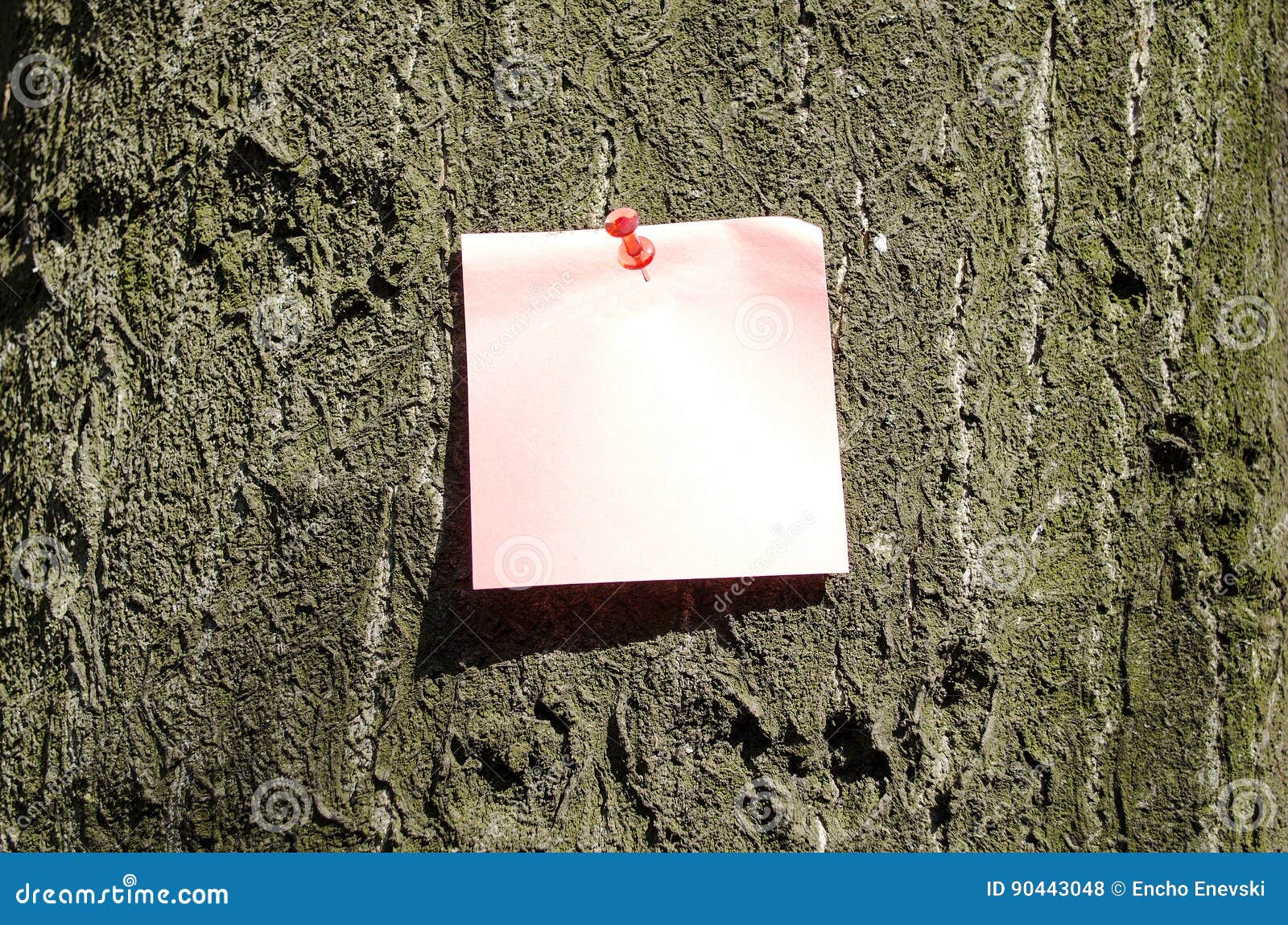 Sticky Note on Tree Background Stock Photo - Image of communication ...