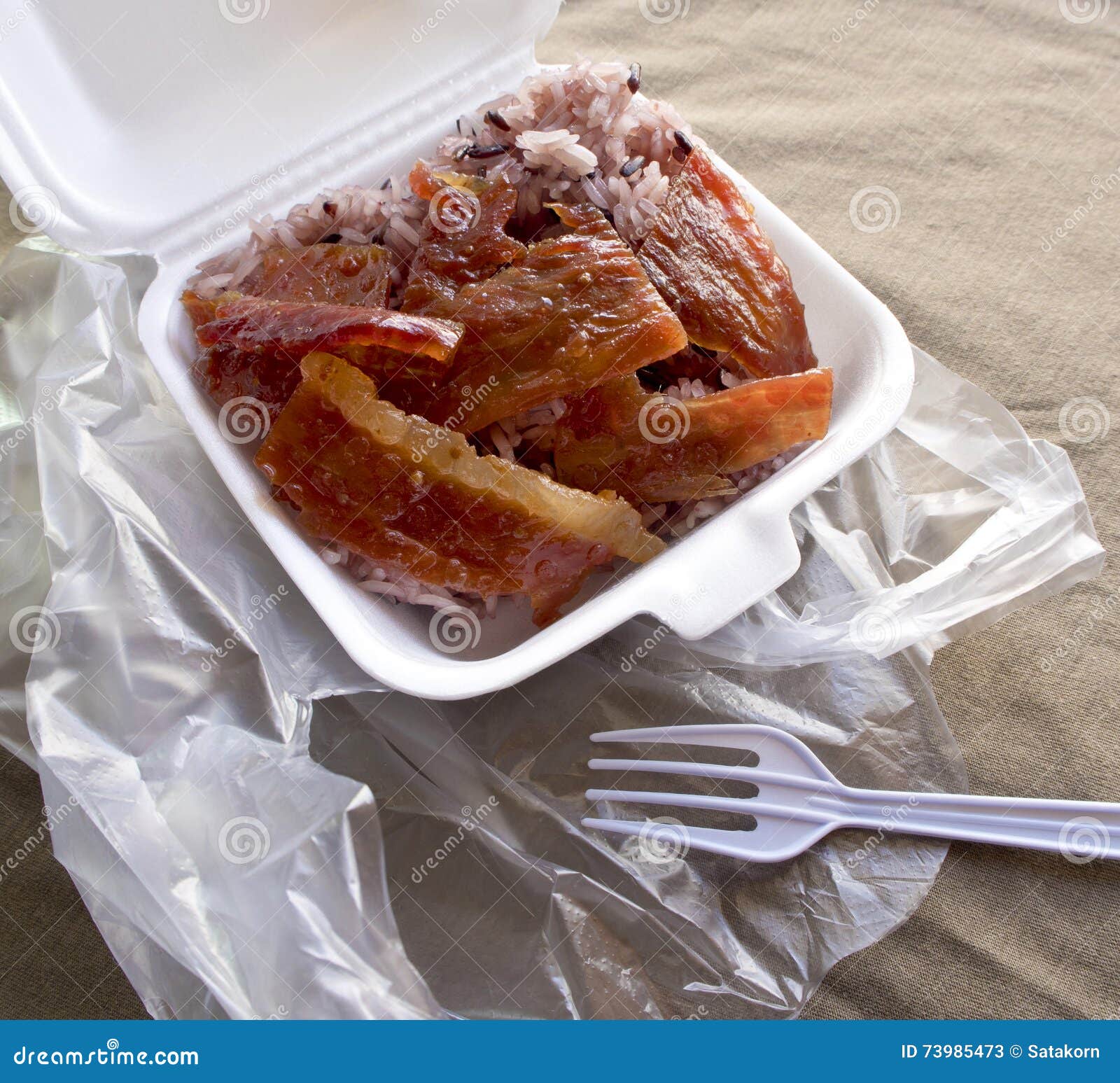Sticky Rice and Roast Pork in Foam Box Stock Image - Image of styrofoam ...