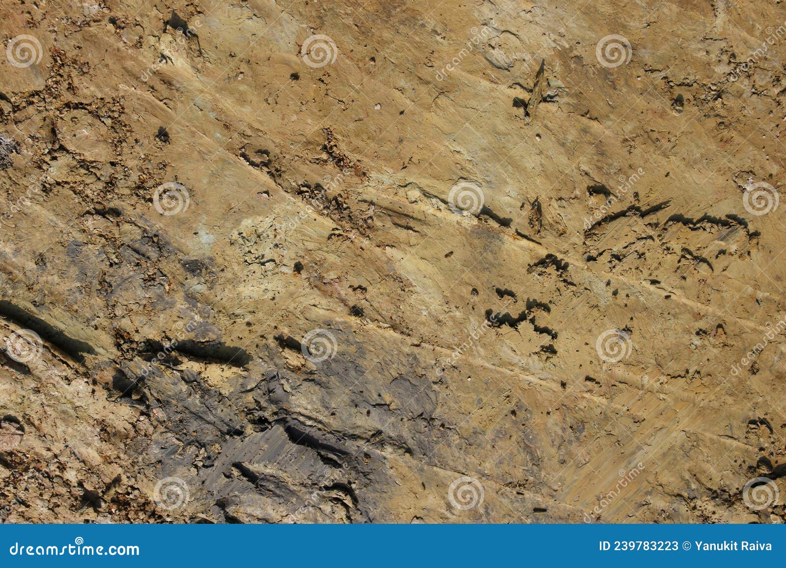 Sticky Soil Texture For Nature Background Royalty-Free Stock Photo ...