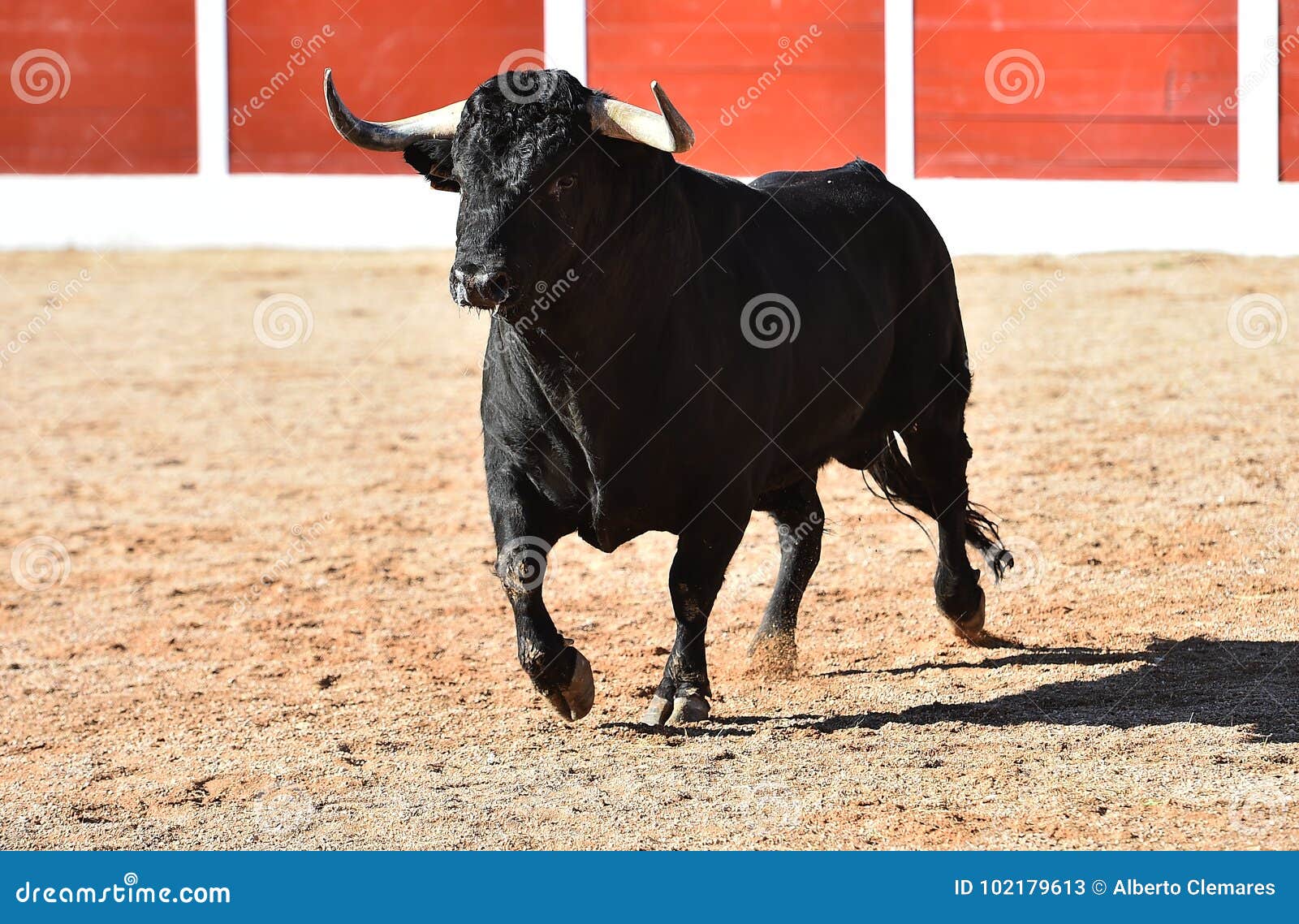 Stier stockbild. Bild von gefahr, stierkämpfer, stierkampfarena - 102179613