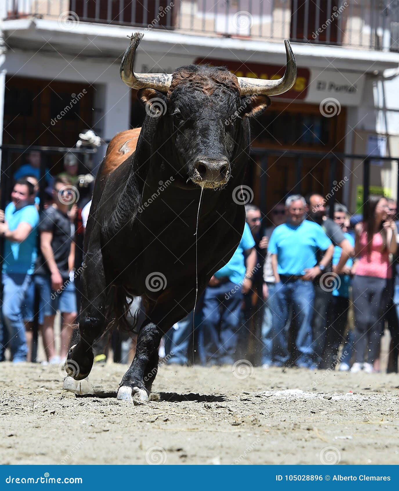 Stier stock foto. Image of vrees, stierenvechten, spanje - 105028896