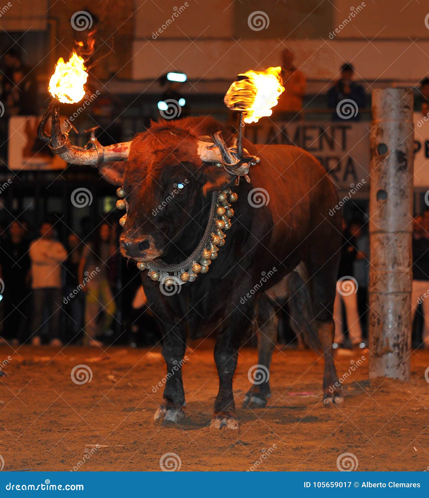 Stier redaktionelles stockfotografie. Bild von laufen - 105659017