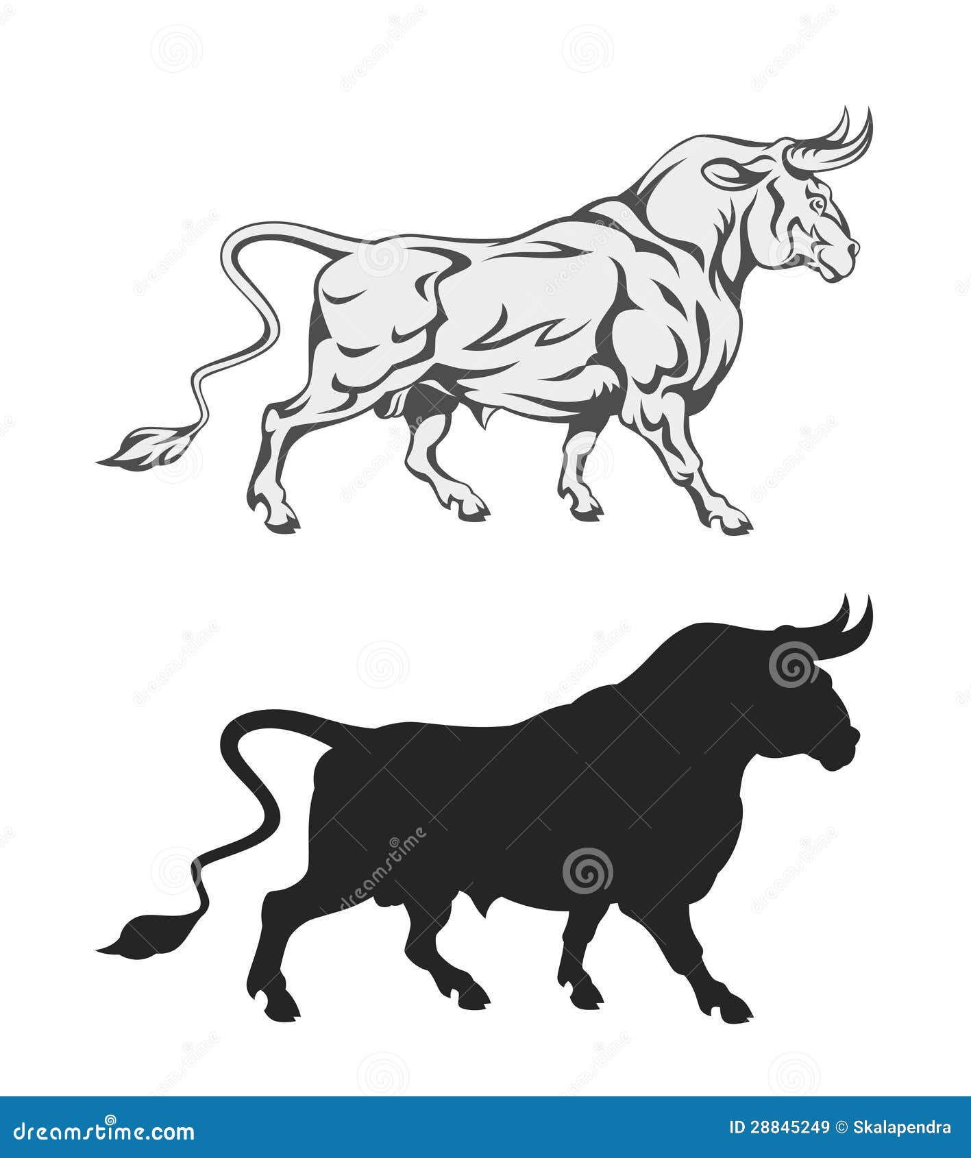 Stier vector illustratie. Illustration of herbivoren - 28845249