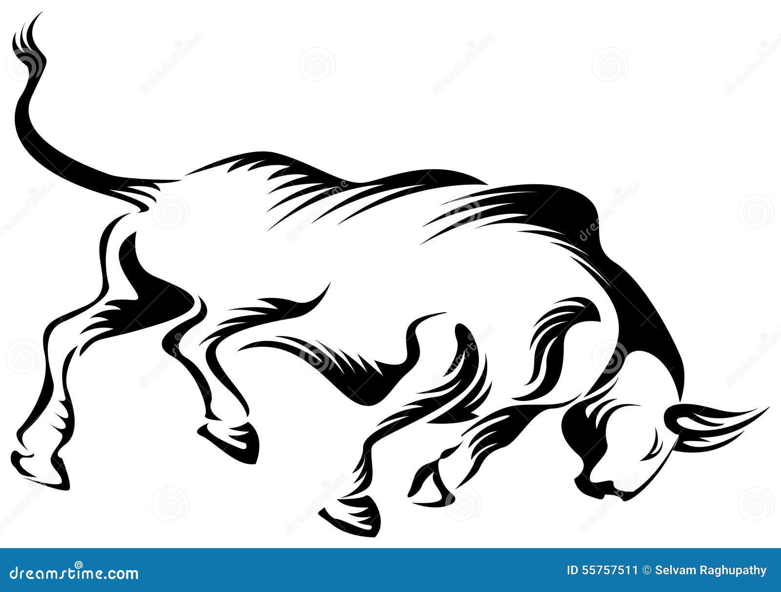 Stier vektor abbildung. Illustration von angriff, fauna - 55757511