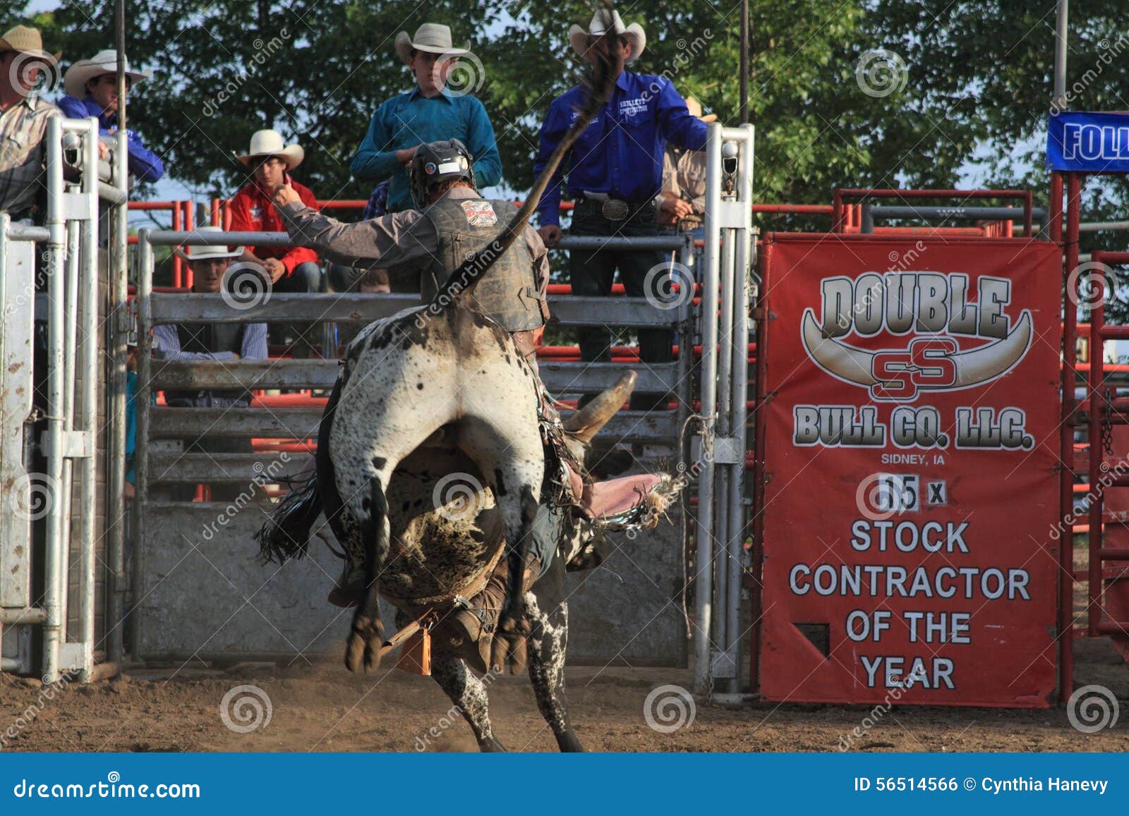 Stier-Reiter redaktionelles foto. Bild von rodeo, gesprenkelt - 56514566