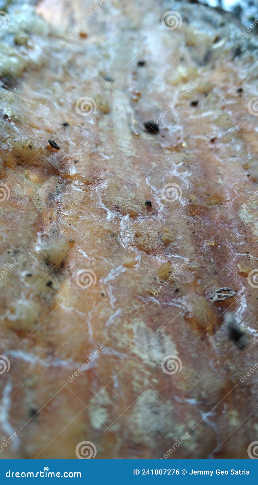 Stifling Tree Photos - Free & Royalty-Free Stock Photos from Dreamstime