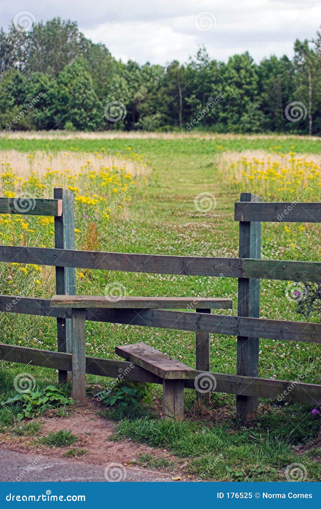 Stile stock image. Image of field, ramble, climb, assist - 176525