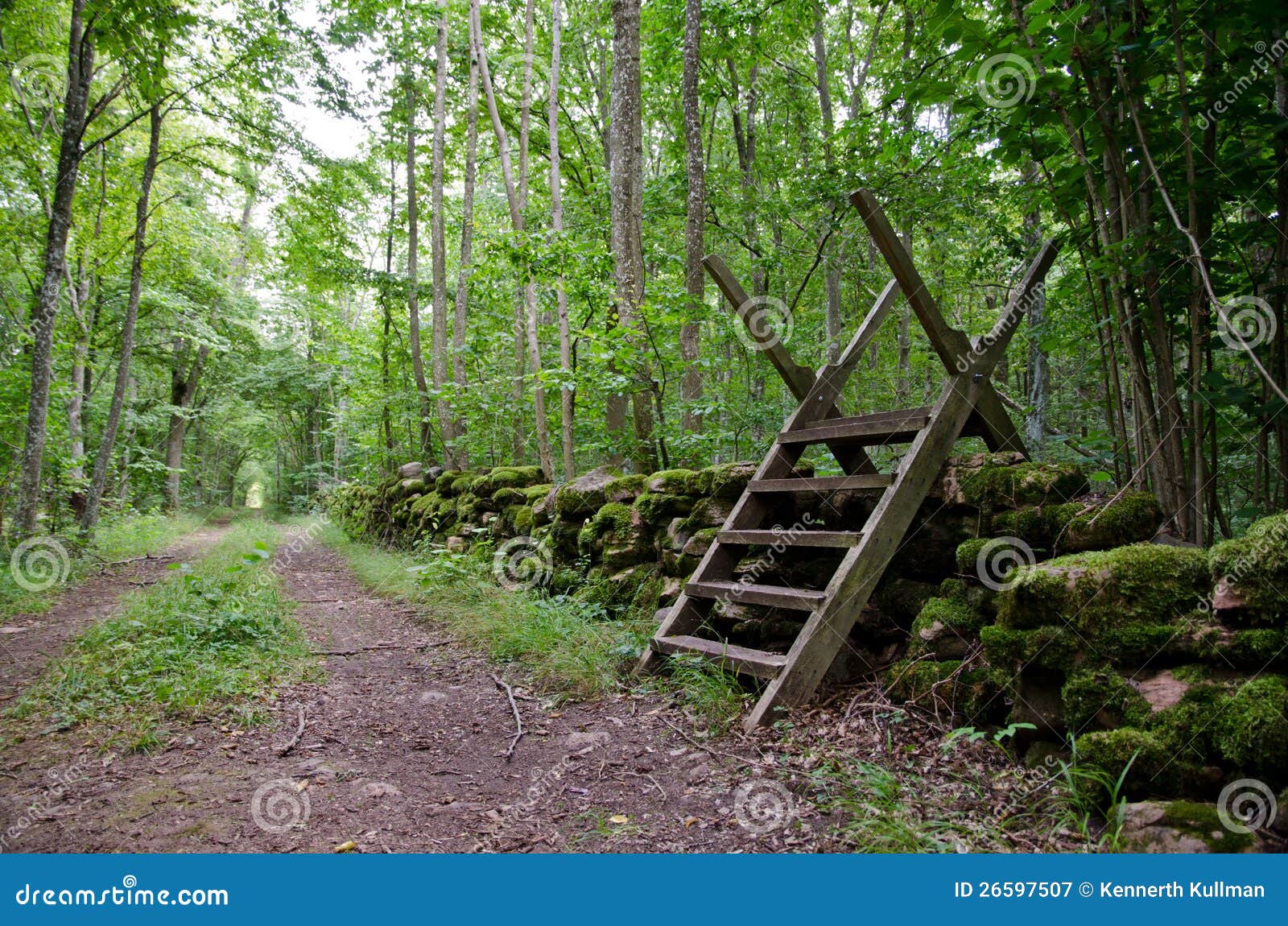 Stile at a Countryside Road Stock Image - Image of trunk, stonewall ...