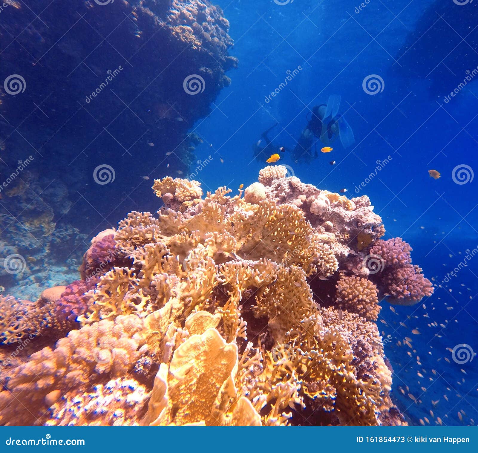 Still Beautiful Part of the Red Sea Stock Image - Image of still ...