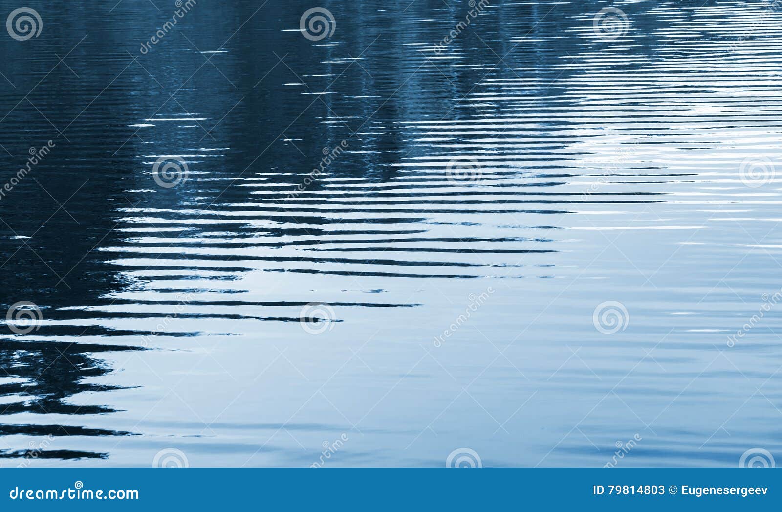 Still Water Texture