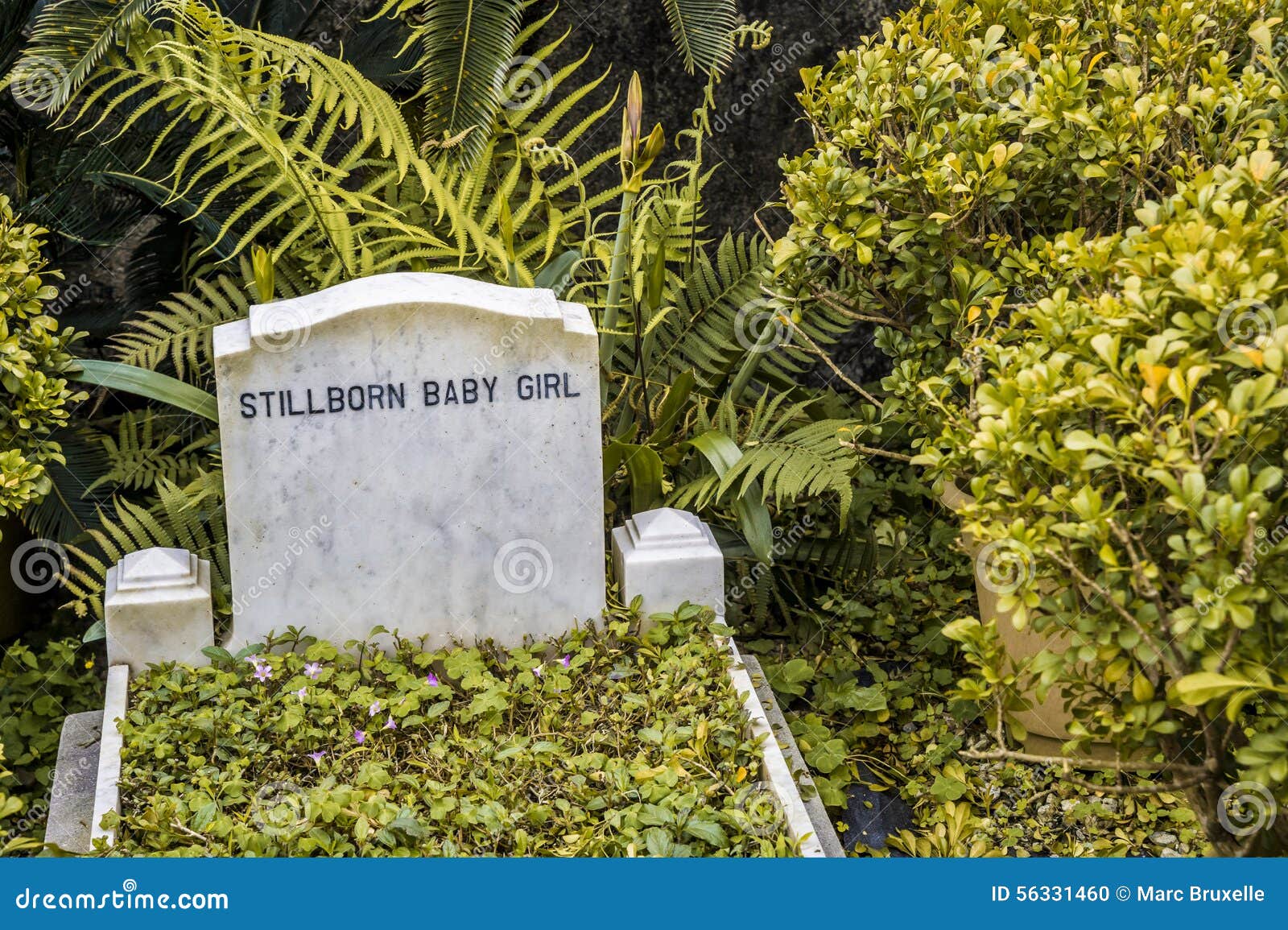 Still born baby headstone stock photo. Image of stillborn - 56331460