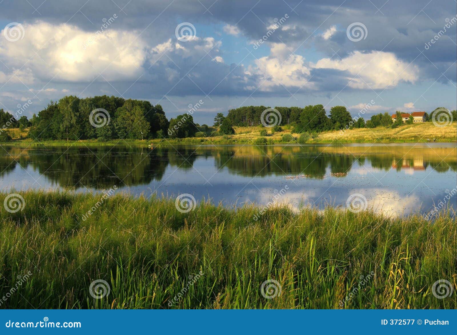 Still lake stock image. Image of bushes, still, green, warm - 372577