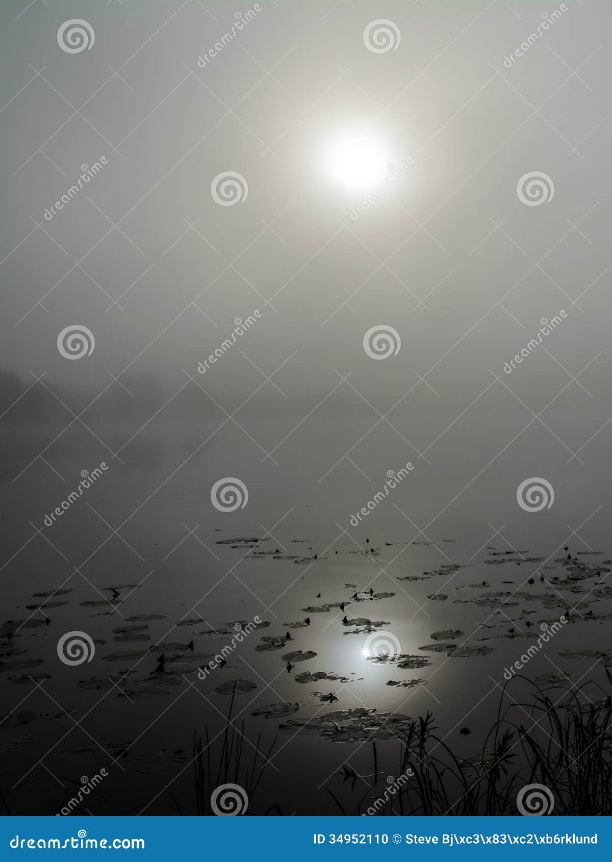 Still lake stock photo. Image of calming, water, lake - 34952110