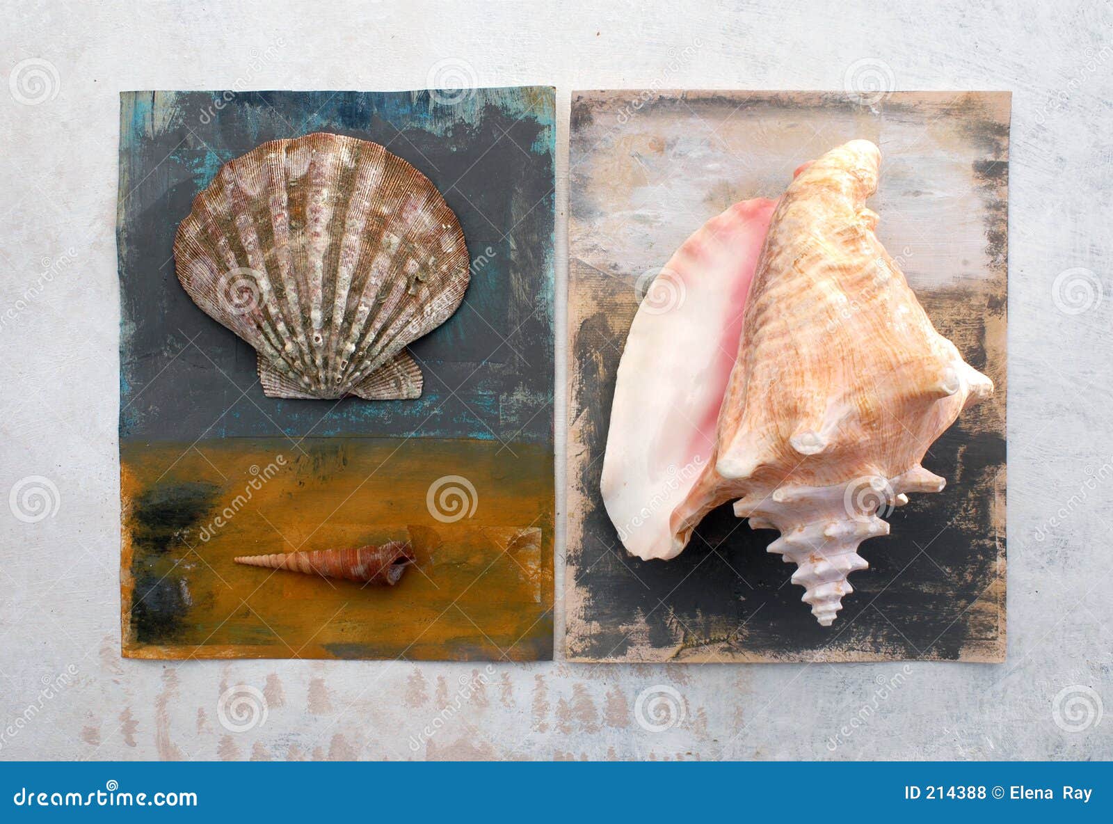 Still Life 3 stock photo. Image of shell, beach, harmony - 214388