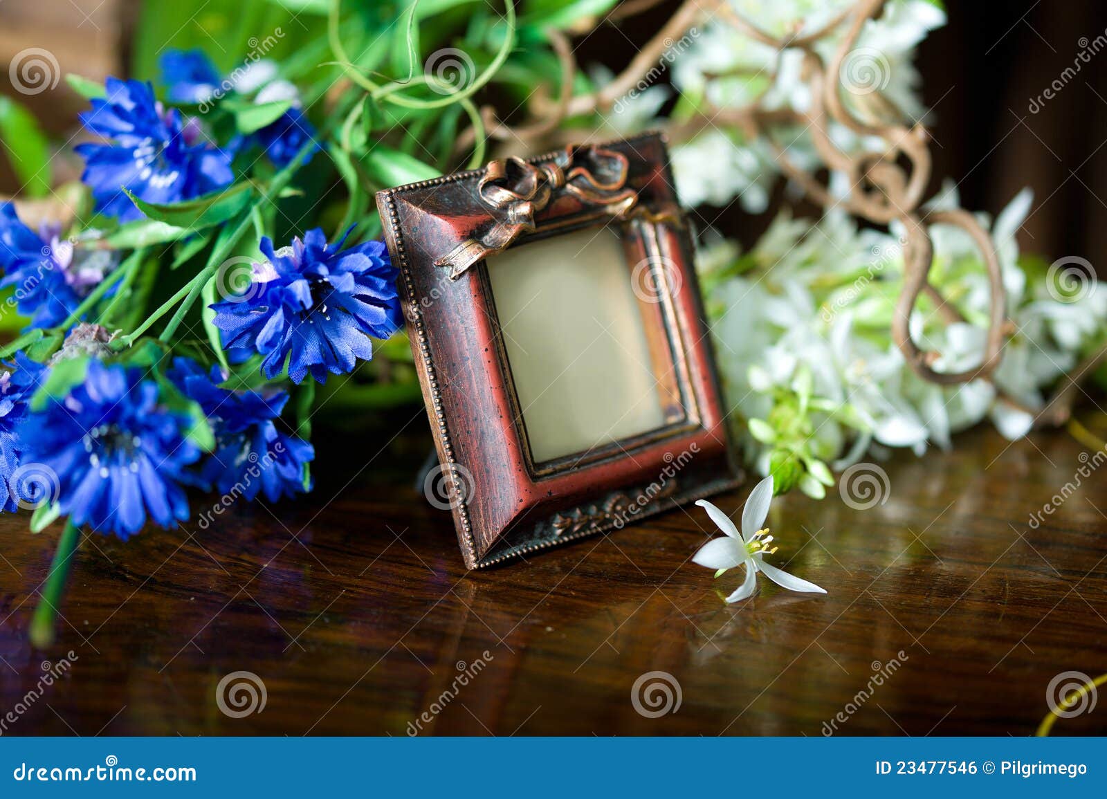Still Life with Antique Ornate Frame. Stock Photo - Image of framed ...