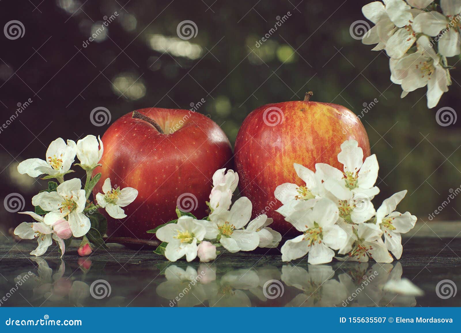 Still Life with Apples and Delicate White Flowers on a Marble Glossy ...